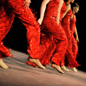 YOU CAN DANCE CO - Updated June 2025 - 19 Reviews - 1501 Coffee Rd ...