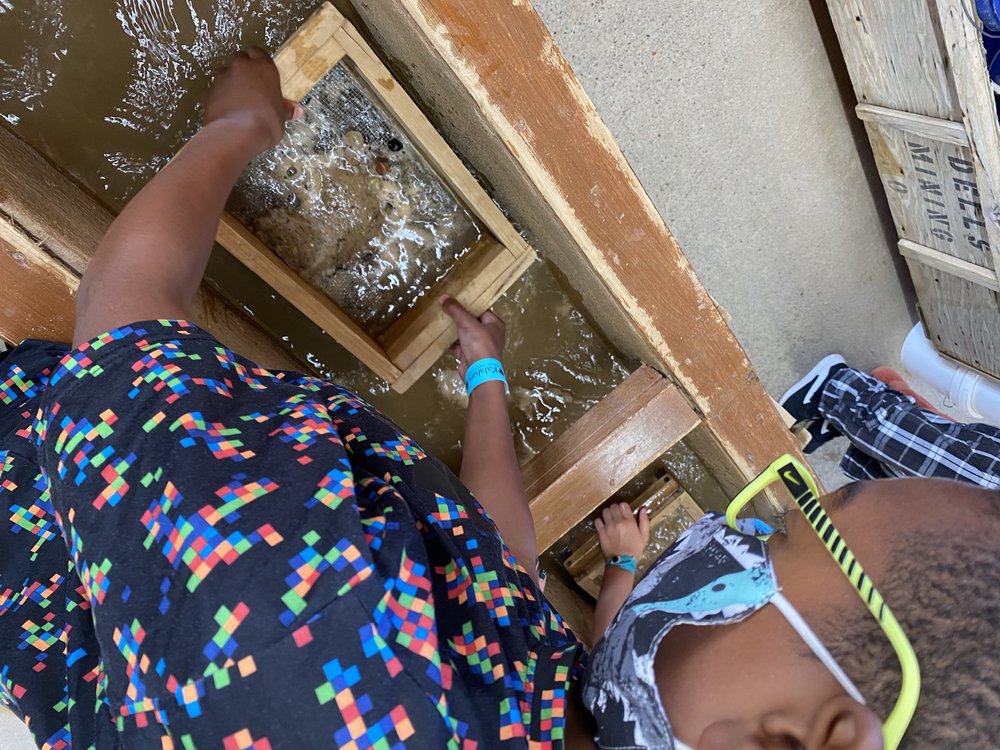 DELLS MINING COMPANY - Updated August 2024 - 11 Photos & 15 Reviews ...