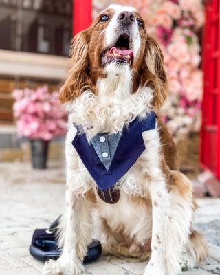 PINTO’S FARM - 428 Photos & 146 Reviews - 14890 SW 216th St, Miami ...