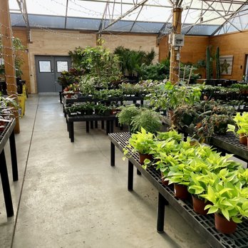 GREEN CONNECTION - Updated December 2025 - 14 Photos & 10 Reviews - 804 ...