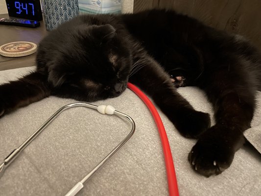 AVRIO PHARMACY - Updated January 2026 - 10 Photos & 83 Reviews - 9015 E ...