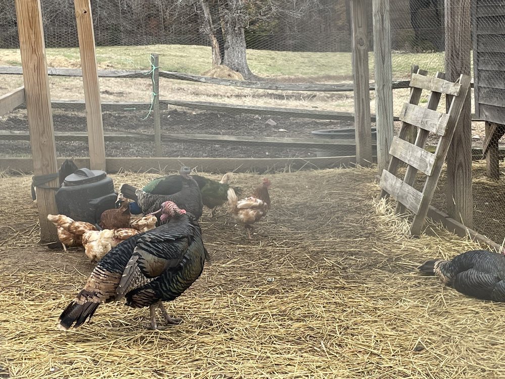 CEDAR LAKE TREE FARM - Updated July 2025 - 19 Photos - 5829 E Hwy 27 ...