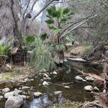 WALNUT CREEK PARK - Updated December 2025 - 190 Photos & 70 Reviews ...