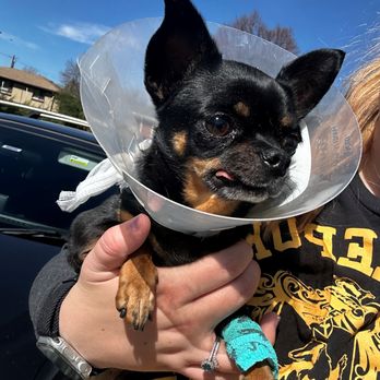 WHEAT RIDGE ANIMAL HOSPITAL - Updated October 2024 - 47 Photos & 344 ...