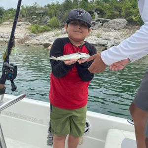 STANLEY BERNSTEIN LAW FIRM - Updated December 2025 - Request ...