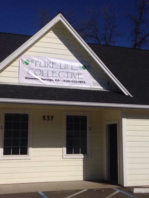 PURE LIFE COLLECTIVE - Updated December 2025 - 20 Photos & 43 Reviews ...