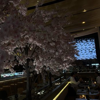 PAPERFISH SUSHI - Updated January 2025 - 1629 Photos & 818 Reviews ...