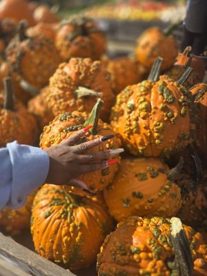 LINVILLA ORCHARDS - Updated March 2025 - 1123 Photos & 490 Reviews ...