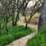 PASO ROBLES RV RANCH & CAMPGROUND - 24 Photos & 66 Reviews - 398 Exline ...