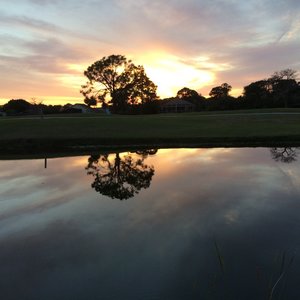 LEMON BAY GOLF CLUB - Updated December 2025 - 9600 Eagle Preserve Dr ...