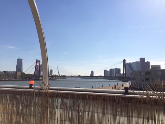 ALOHA BAR - 13 Photos - Maasboulevard 100, Rotterdam, Zuid-Holland, The ...