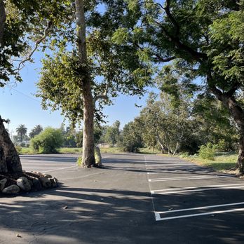 SYCAMORE INN - Updated July 2024 - 996 Photos & 1081 Reviews - 8318 ...