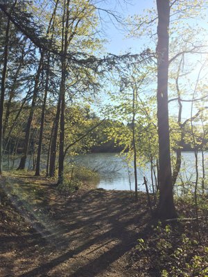 CODORUS STATE PARK - 44 Photos & 30 Reviews - 2600 Smith Station Rd ...