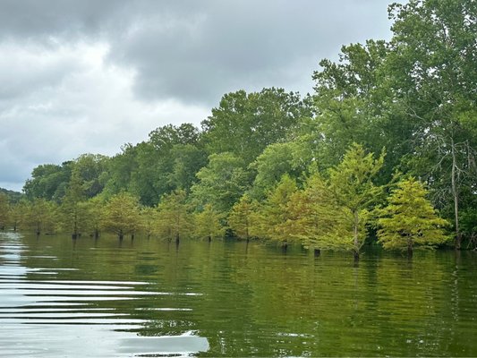 STONES RIVER KAYAK AND CANOE RENTAL - Updated August 2025 - 29 Photos ...