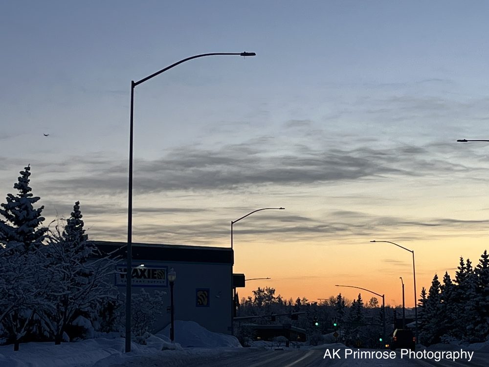 AK PRIMROSE PHOTOGRAPHY - Updated March 2025 - Request a Quote - 11 ...