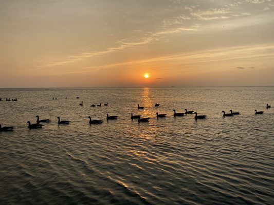 FULLERTON BEACH with reviews - Updated September 2024 - 105 Photos & 22 ...