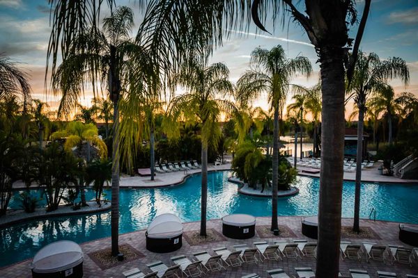 CALIENTE CLUB & RESORTS - Updated January 2026 - 53 Photos & 71 Reviews ...