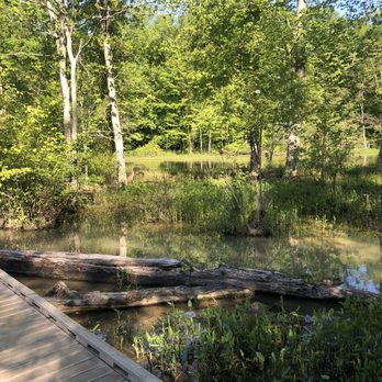 Huntley Meadows Park - 290 Photos & 88 Reviews - Parks - 3701 Lockheed ...