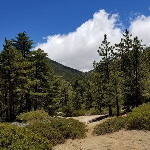 CAMP WILLIAMS RESORT - 93 Photos & 46 Reviews - Campgrounds - 24210 E ...