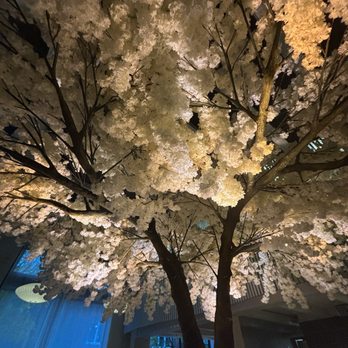 JANKEN - Updated August 2024 - 1077 Photos & 331 Reviews - 250 NW 13th ...