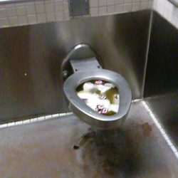 EXETER FINANCE - 82 Reviews - Irving, Texas - Auto Loan Providers ...