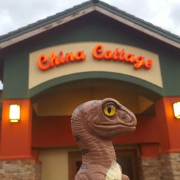 CHINA COTTAGE - Updated September 2025 - 44 Photos & 96 Reviews - 3718 ...