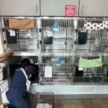 LA ANIMAL SERVICES - Updated December 2025 - 126 Photos & 253 Reviews ...