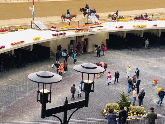 AQUEDUCT RACETRACK - 38 Photos & 30 Reviews - Race Tracks - 110-00 ...