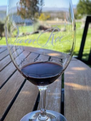 OWEN ROE - Updated December 2025 - 117 Photos & 54 Reviews - 309 Gangl ...