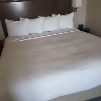 DOUBLETREE BY HILTON PHOENIX NORTH - Updated January 2025 - 231 Photos ...