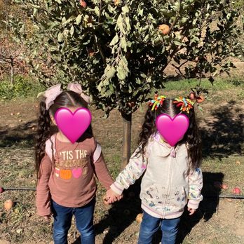 RILEY’S FARM - Updated August 2024 - 870 Photos & 404 Reviews - 12261 S ...