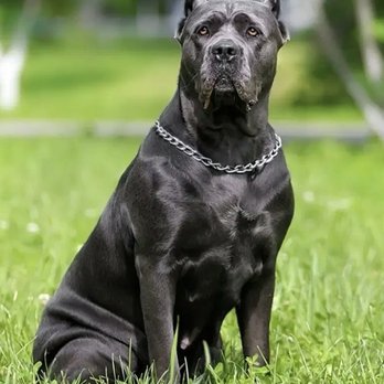 CRUNCH FITNESS - TULSA - Updated September 2025 - 20 Photos & 17 ...