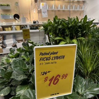 IKEA - Updated April 2025 - 615 Photos & 533 Reviews - 7171 Ikea Dr ...