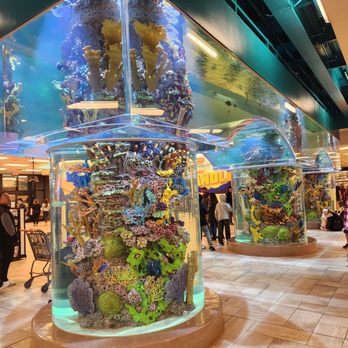 SCHEELS - Updated October 2024 - 662 Photos & 114 Reviews - 3199 W ...