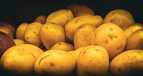 KEY FOOD SUPERMARKET - Updated September 2025 - 166 Photos & 112 ...