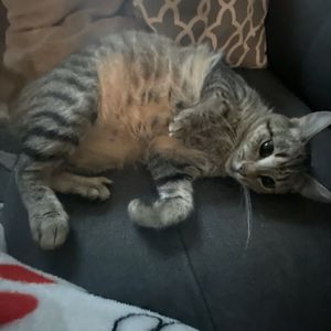 NICOLAS JUNIOR HIGH SCHOOL - Updated May 2024 - 20 Photos - 1100 W ...