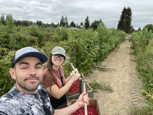 HARVOLD BERRY FARM - Updated January 2026 - 128 Photos & 44 Reviews ...