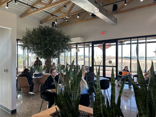 TWELVE GATE COFFEE - Updated December 2025 - 3200 Mockingbird Ln ...