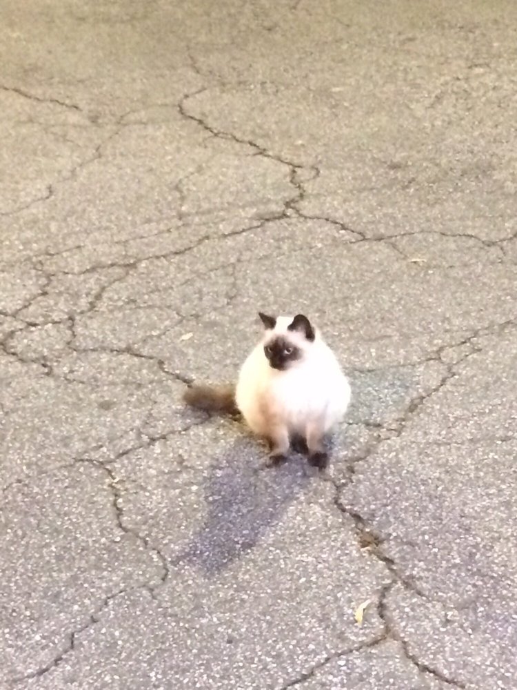 MASTERS INN - Updated December 2025 - 10 Reviews - 3092 Presidential ...