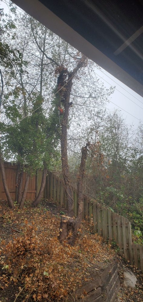 TREE RECYCLER JIM CRON - Updated October 2025 - 912 S 296th Pl, Federal ...