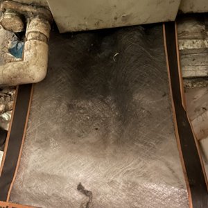 160 ROSS - Updated July 2024 - 69 Photos - 160 N Ross Street, Auburn ...