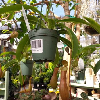 GREEN CONNECTION - Updated December 2025 - 14 Photos & 10 Reviews - 804 ...