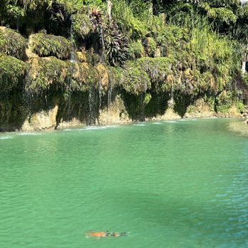 BLUE LAGOON FARM MIAMI - Updated January 2026 - 76 Photos & 41 Reviews ...