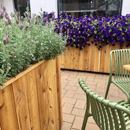 CAPRICCIO - Updated October 2025 - 81 Photos & 84 Reviews - 337 S ...