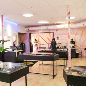 CURALEAF - Updated December 2025 - 46 Photos & 25 Reviews - 923 W Weed ...