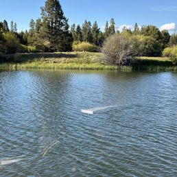 RIO SOL LATIN KITCHEN - Updated July 2025 - 40 Photos & 50 Reviews ...