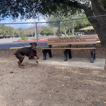 CAMARILLO GROVE PARK - Updated October 2025 - 97 Photos & 20 Reviews ...