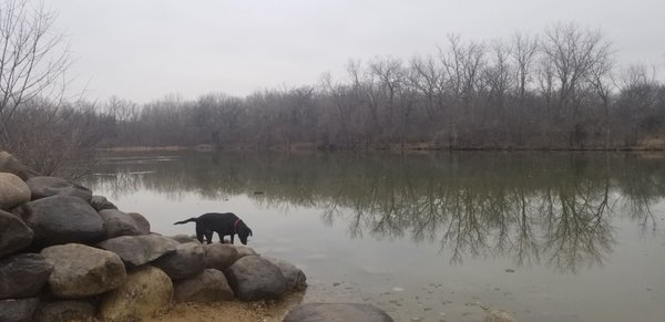 PRAIRIE WOLF OFF-LEASH DOG AREA - Updated December 2025 - 81 Photos ...