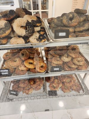 THE BLUE HOUSE BAGEL CO. & CAFE - 124 Photos & 63 Reviews - 161 Albany ...