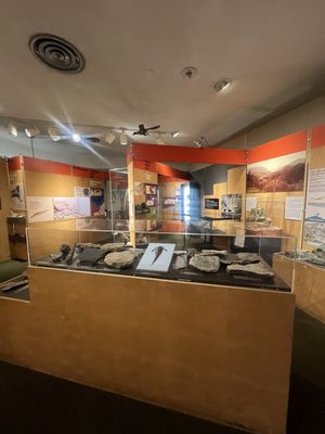 GARVIES POINT MUSEUM & PRESERVE - Updated December 2025 - 87 Photos ...